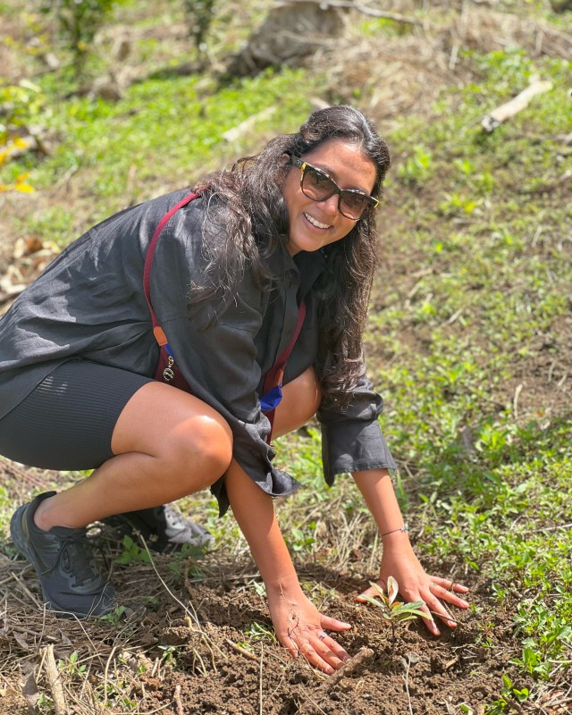 Plant an Ebony Tree in Mauritius with me - Kouraz Skincare